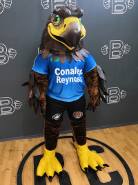 Deportivas - Botargas El Creador